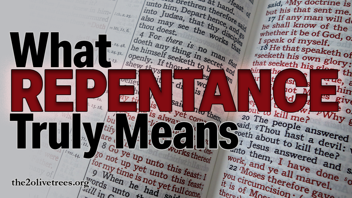 What Repentance Truly Means – The 2 Olive Trees